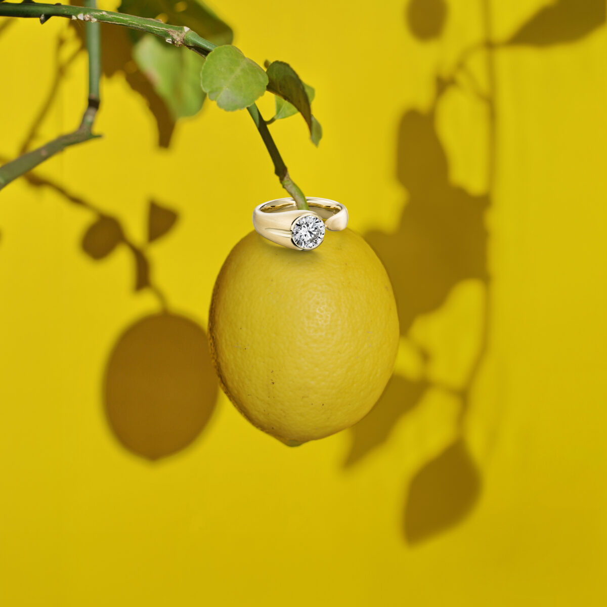 125 Jahre PAUL — Juwelier Paul